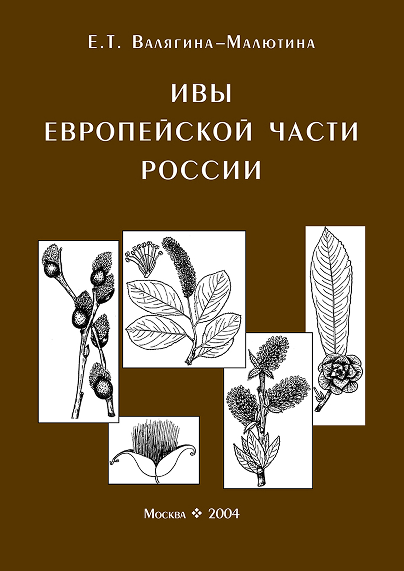 «Ивы европейской части России. Иллюстрированное пособие для работников ...