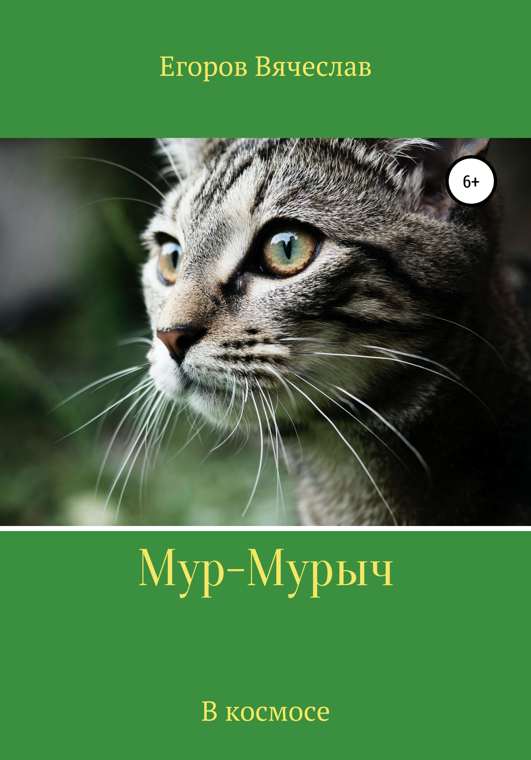 Мур-Мурыч. В космосе, Вячеслав Анатольевич Егоров – скачать книгу fb2 ...