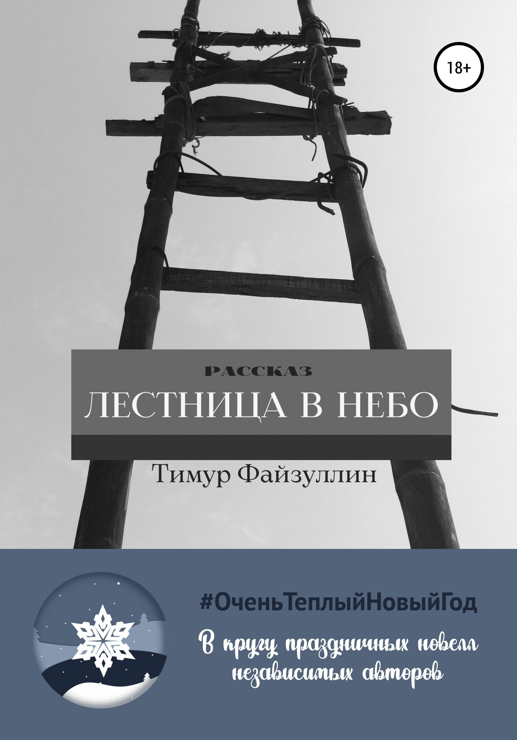 Лестница в небо, Тимур Наилевич Файзуллин – скачать книгу в fb2, epub ...