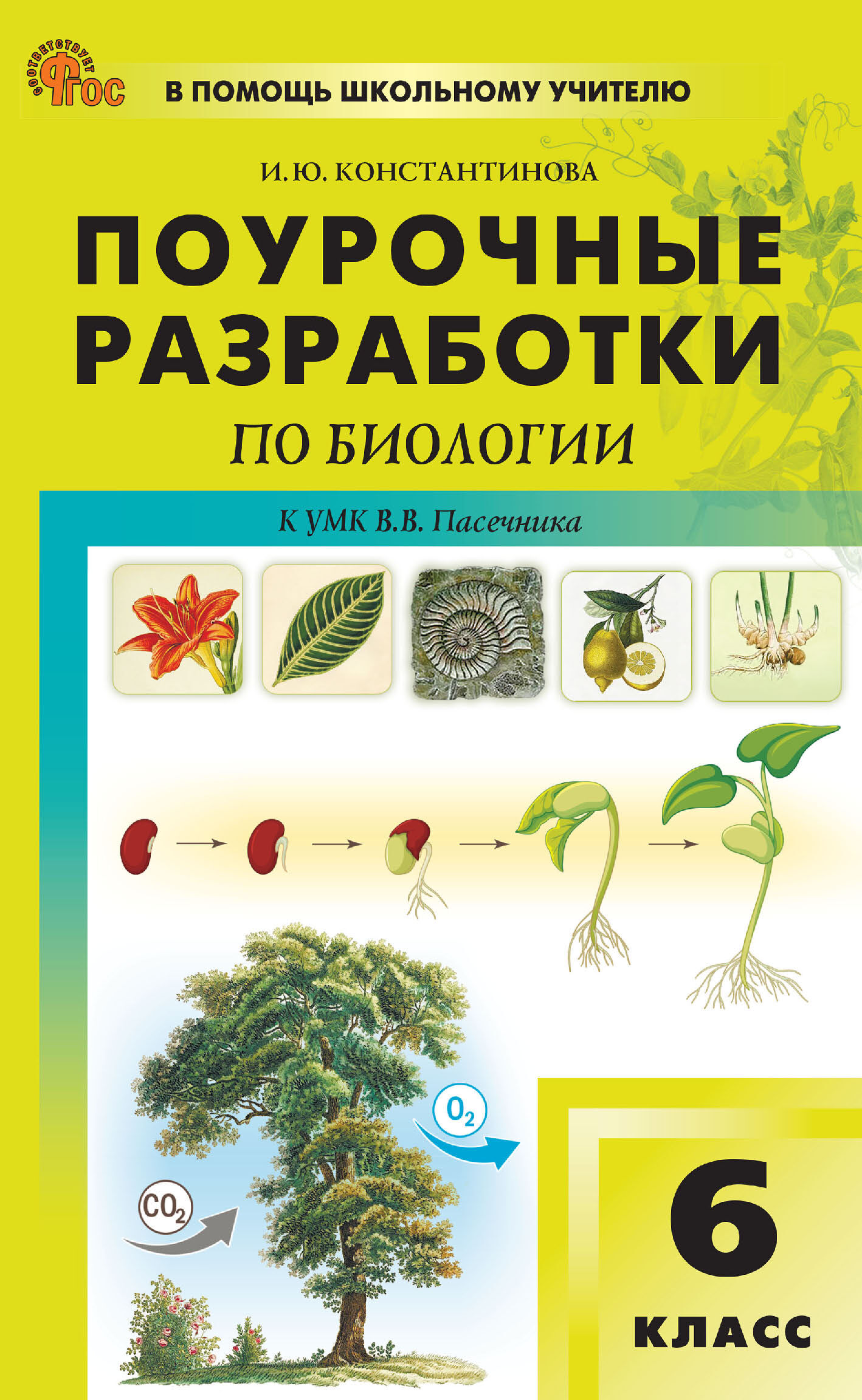 «Поурочные разработки по биологии. 6 класс (к УМК В. В. Пасечника (М ...